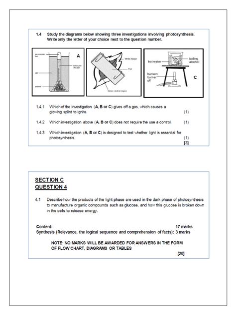 Photosynthesis Questions Pdf