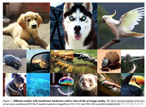 解读openai视频生成模型sora背后的原理：diffusion Transformerpatch N Pack Navit A Vision Transformer For Any