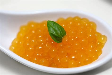 분자요리molecular Gastronomy 네이버 블로그