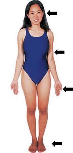 Introduction To Anatomy Flashcards Quizlet