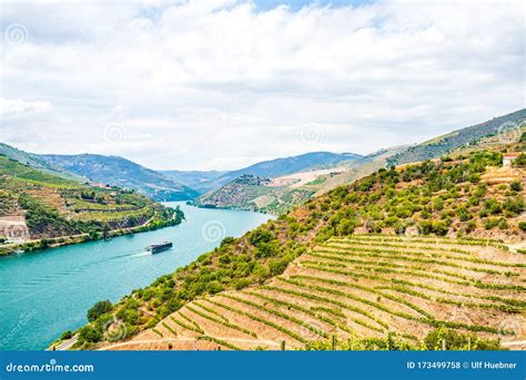 View On Vineyards In The Valley Of The River Douro Portugal Stock