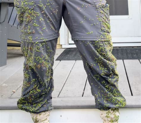 What Are Those Little Green Seeds That Stick To Your Clothes
