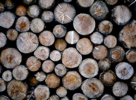 Different Types Of Logging Microsoft Purview Audit Information Security And Compliance
