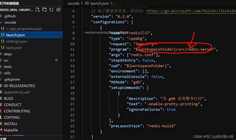 Linux服务器开发redis源码 存储原理与数据模型 Csdn博客 Linux服务器开发redis源码 存储原理与数据模型 Csdn博客