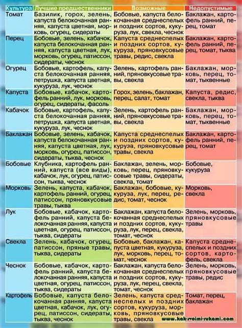 Соседство овощей на грядках таблица совместимости растений