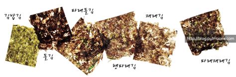 아하 일본에서는 이런 김을 먹는구나 한국 김 Vs 일본 김 전격 비교~