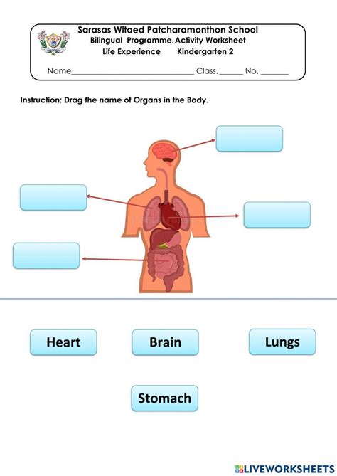 3989193 Organs Of The Body Shinenz Liveworksheets