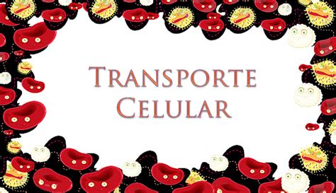 Transporte Celular Definición De Transporte Celular