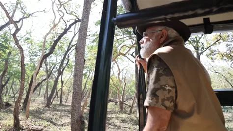 3167 Tigers In 2022 In India Pm Modi Releases Census Data In Mysuru