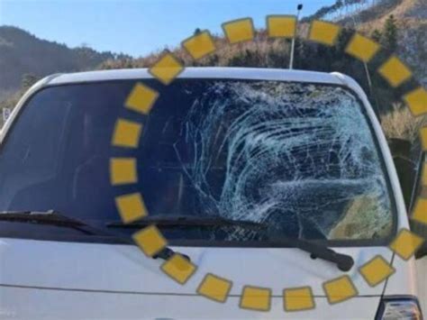 자동차와 法 도로상 장애물로 인한 교통사고의 법률적 문제와 해결방안