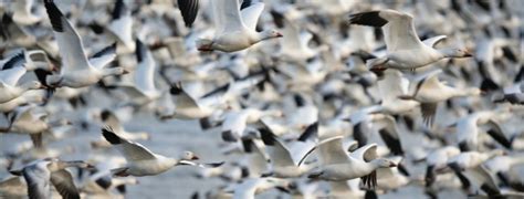 Oracle Cloud Infrastructure Oci Gen2 Migration For Oracle Cloud Epm