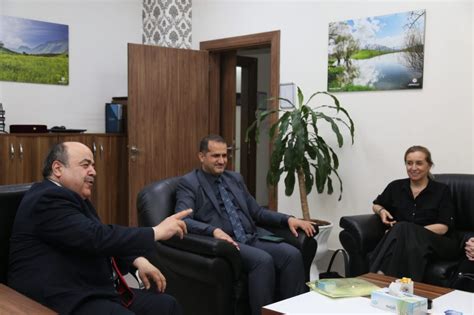 Machine Learning Algorithms Based Credit Risk Assessment Models Inmc Tiu