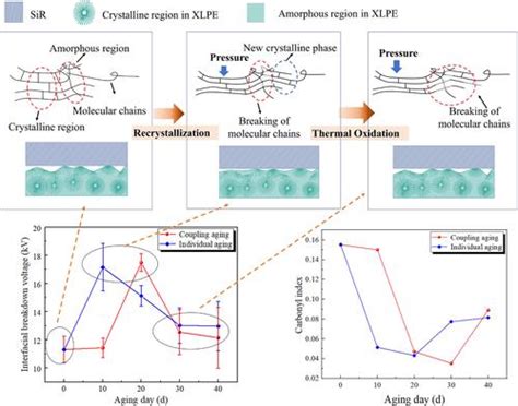 交联聚乙烯 硅橡胶界面热机械老化的机理见解 Journal of Applied Polymer Science X MOL