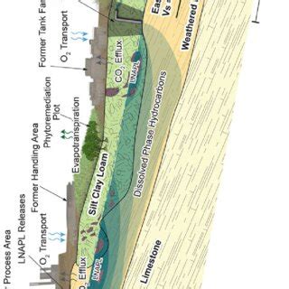 Site B CSM Depiction Download Scientific Diagram