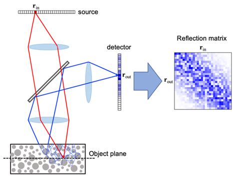Schematic Of Recording A Reflection Matrix Light Wave Emanating From