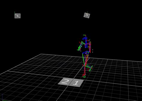 Github Rudman Dmitrymotion Capture Gait Analysis Project Using