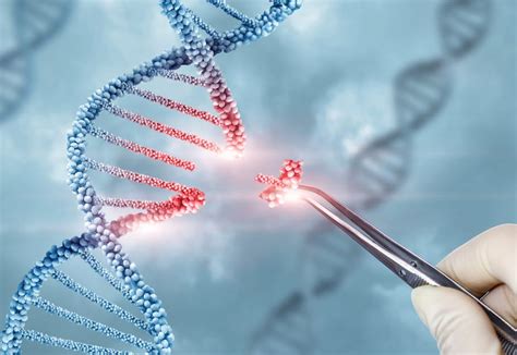 Erasing Or Replacing Errors In A Patients Genetic Code Can Treat And Cure Some Genetic Diseases