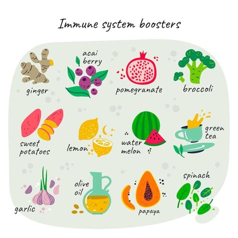 Premium Vector Immune System Boosters
