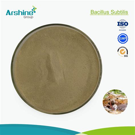 China Manufacturers Raw Materials Probiotic Bacillus Subtilis Powder