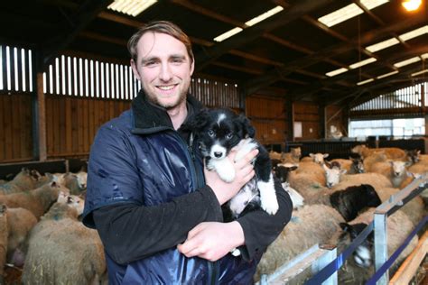 Families Will Flock To Bigger And Better Reaseheath Lambing Weekends