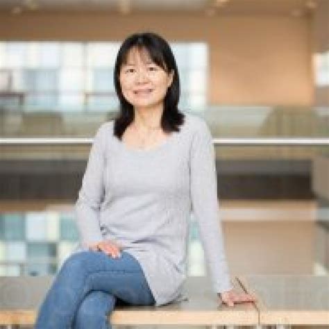 Xin Gao Faculty Of Science Profiles