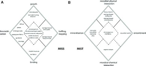 Classification Of Microbially Induced Sedimentary Structures Miss And Download Scientific