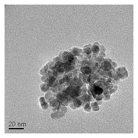 TEM Images Of Fe O Particles M Download Scientific Diagram