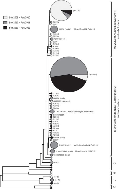 UPGMA Unweighted Pair Group Method With Arithmetic Mean Tree Based On Download Scientific