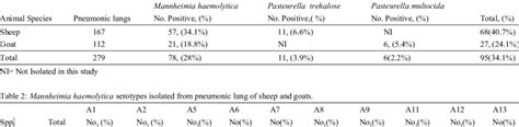 Isolation Rates Of Mannheimia Haemolytica Pasteurella Trehalose And Download Table