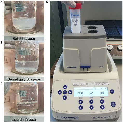 Figure 1 From Soft Agar Colony Formation Assay To Quantify Mouse