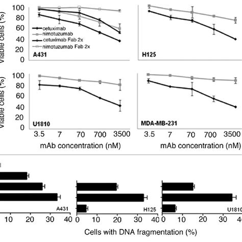 Binding Of Nimotuzumab Cetuximab And Their Monovalent Fragments To Download Scientific Diagram