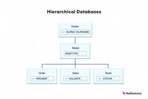 Examples Of Database Hierarchy For Effective Data Management