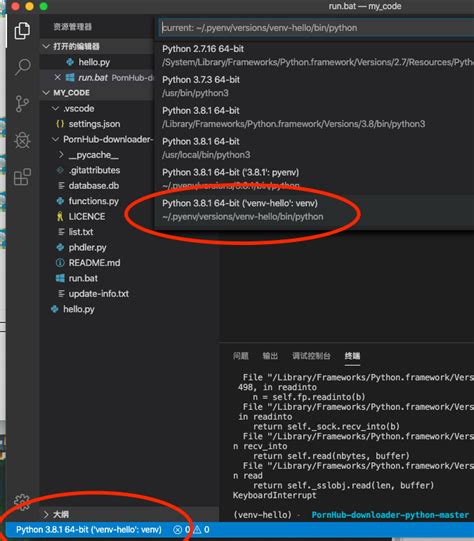 python版本管理