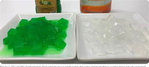 Figure 1 From Cellulontm Fermentation Derived Cellulose Towards