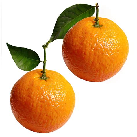 Download Oranges B