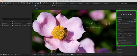 How To Resize Text In After Effects
