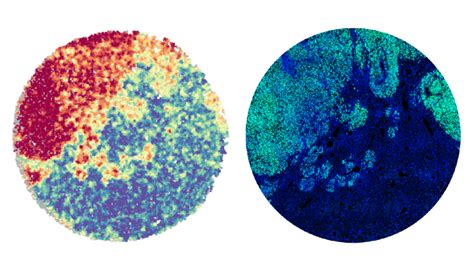 Genomic Sequencing That Preserves Cells Locations Within Tissues HSCRB