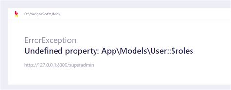 Undefined Property App Models User Roles Issue Spatie Laravel Permission GitHub