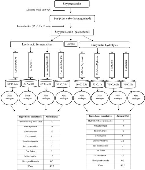 Scheme Of Experimental Design Download Scientific Diagram