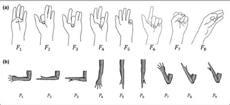 Figure 2 From Electromyogram Based Hand Gesture Recognition Robust To Various Arm Postures