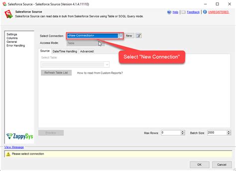Salesforce Connector For Ssis Api Integration Hub