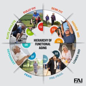 Degrees Of Functional Abilities Demystified IDEA Health Fitness