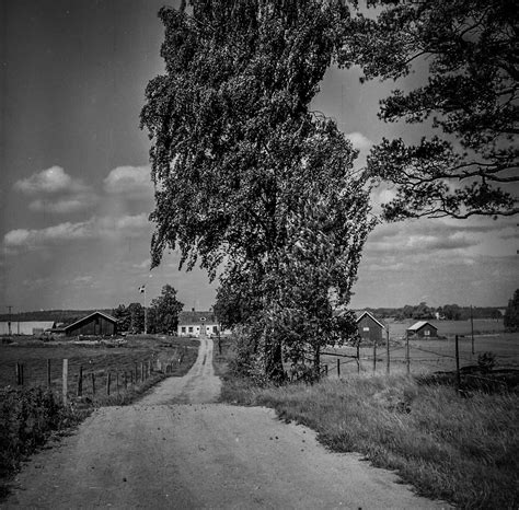 Vackra Bilder Englunds Fotoarkiv