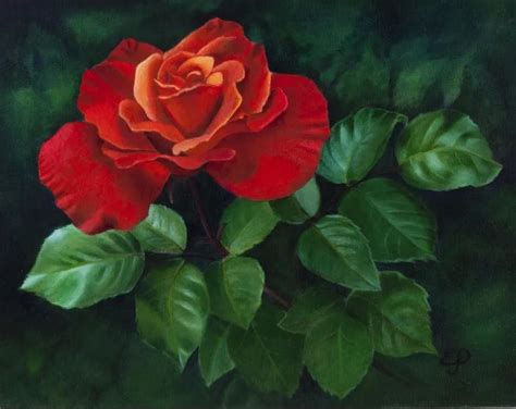 Цветок Анни Кабрещ Стихи ру