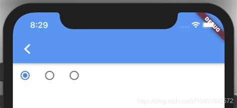 Flutter Radio 单选框flutter单选框 Csdn博客