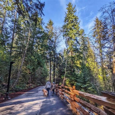 7 Best Things To Do In Nanaimo Water Sports History Natural Parks