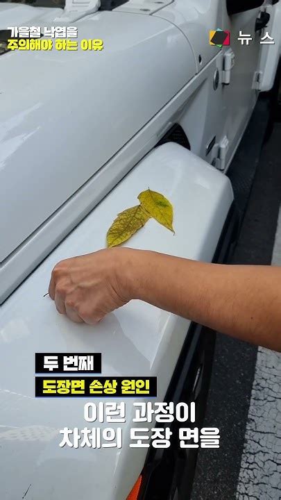 모터그램 가을 상징 ‘낙엽이 내 자동차에 미칠 수 있는 악영향 가을 낙엽 자동차점검 Youtube