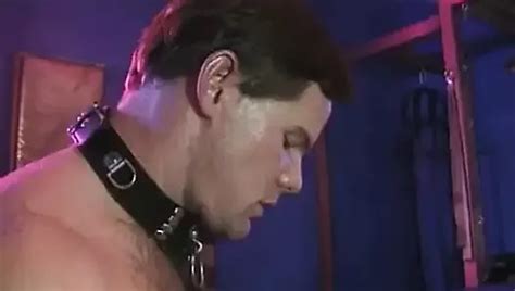 Free Night Club Party Porn Videos Xhamster