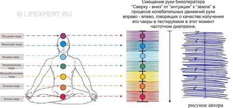Чакры человека и их значение Детальное описание чакр
