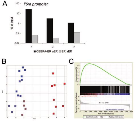 Chip Chip Identifies Promoter Regions Occupied By The Cebpa Er Fusion Download Scientific